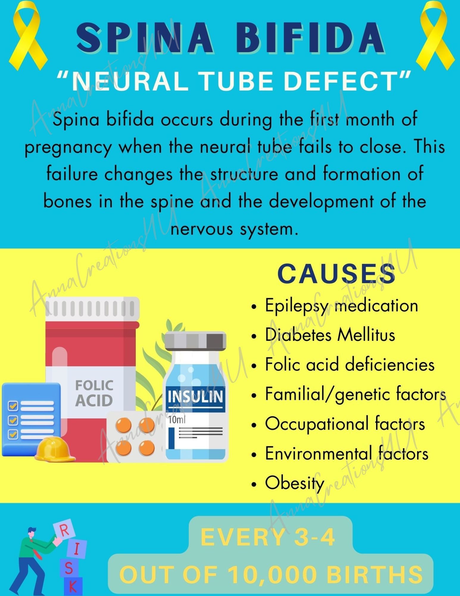 Spina Bifida Awareness Month, Educational Handout, Parent, Teacher ...