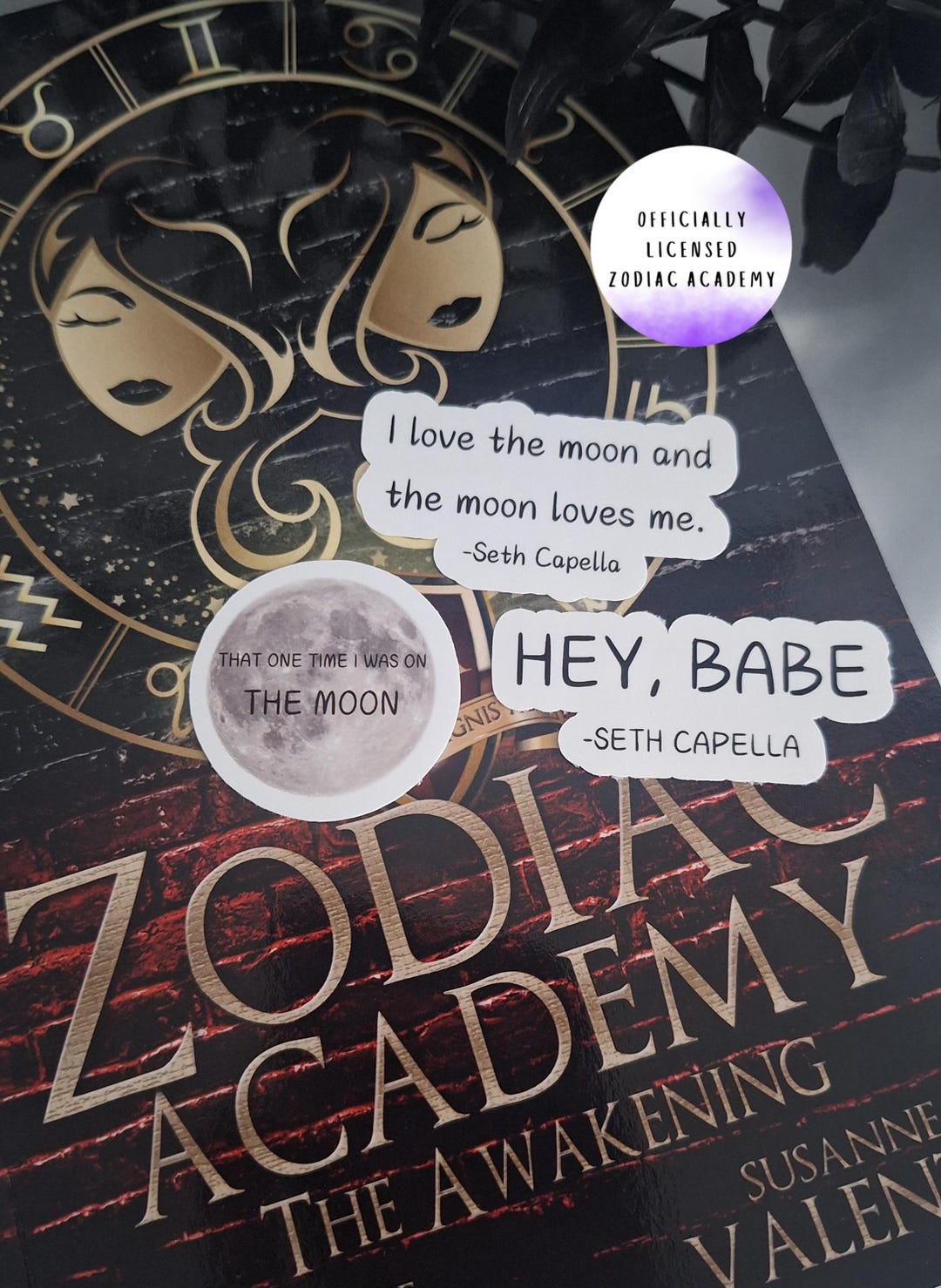 Zodiac Academy Merch/ Officially Licensed/ Kindle Stickers/ Bookish ...