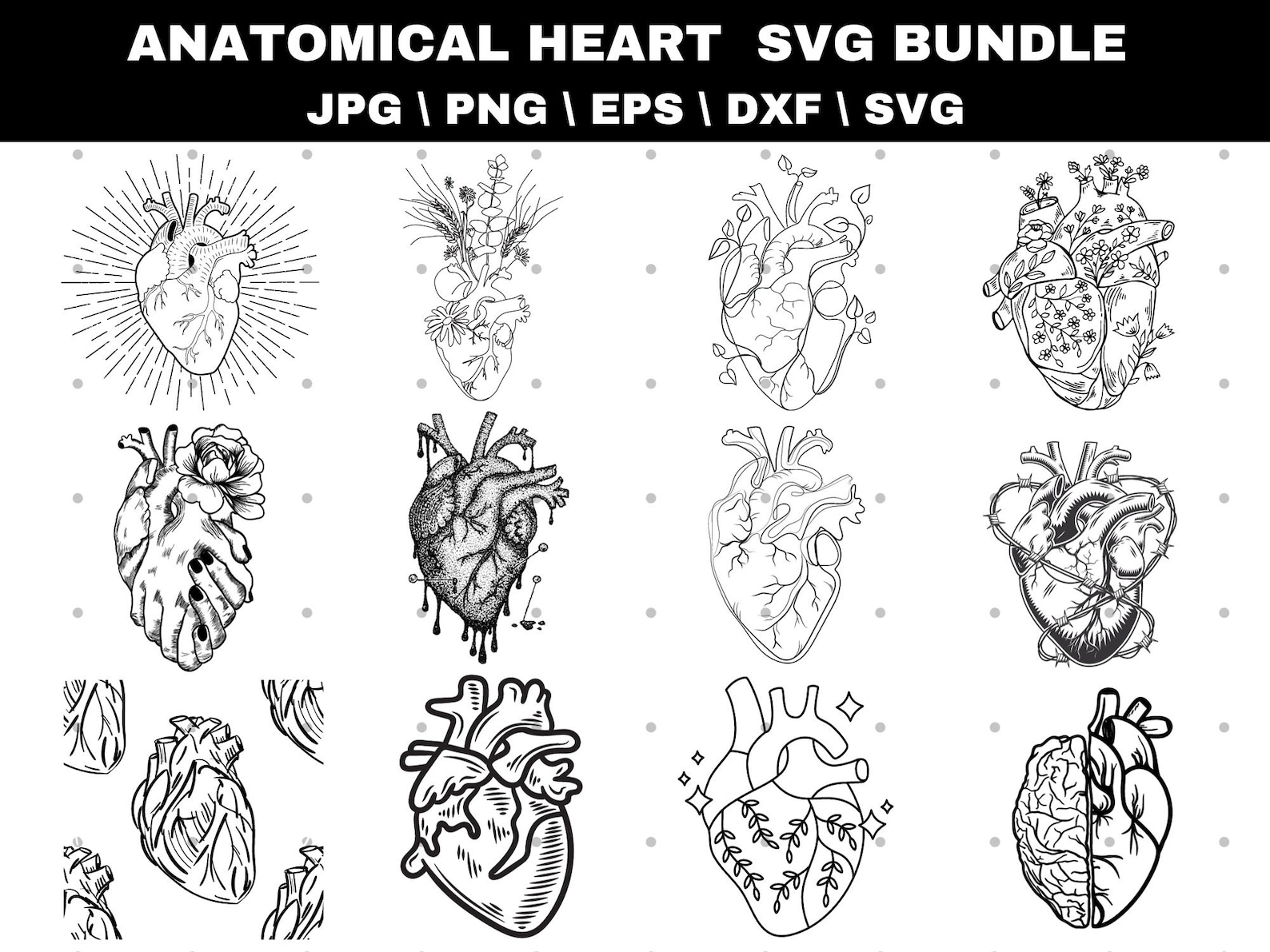 Anatomical Heart Svg, Heart Svg, Human Heart Clip Art Decal, Nurse Life ...