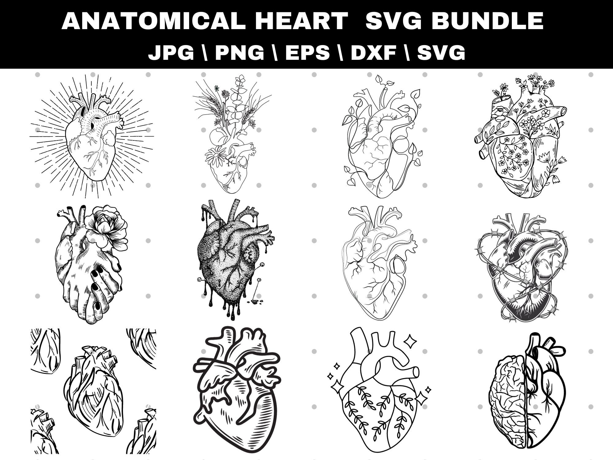 Anatomical Heart Svg, Heart Svg, Human Heart Clip Art Decal, Nurse Life ...