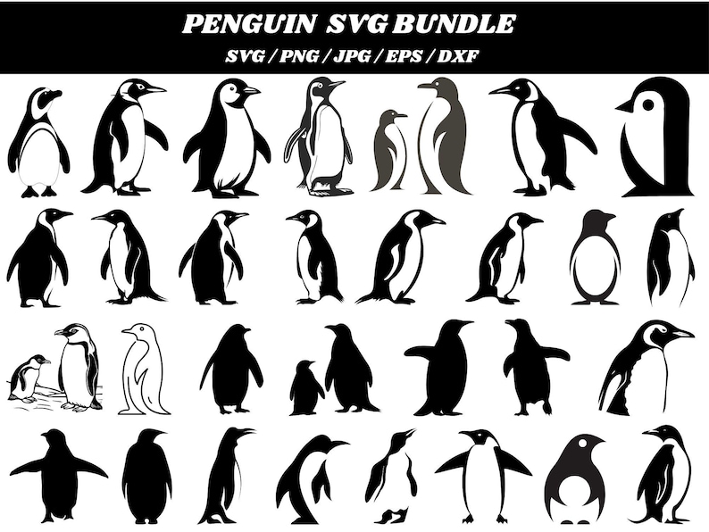 Penguin SVG Bundle , Penguin PNG Bundle , Penguin Clipart , Penguin SVG ...