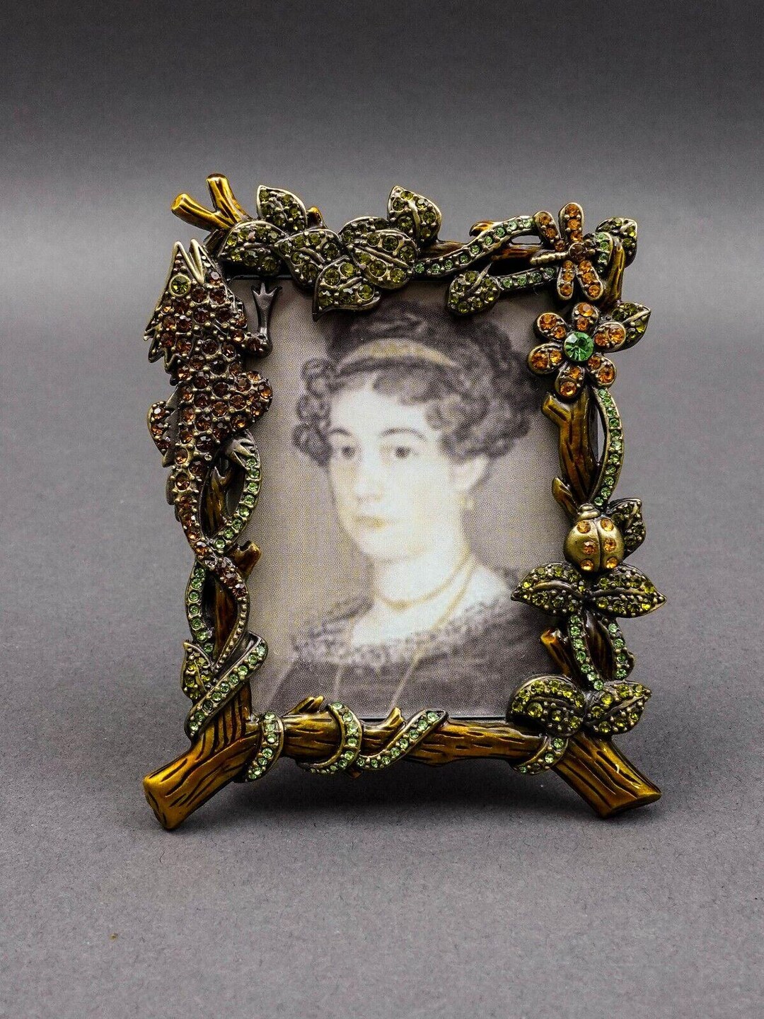 Two's Company Nature Reptile Dragonfly Lady Bug Flower Jewel Picture ...