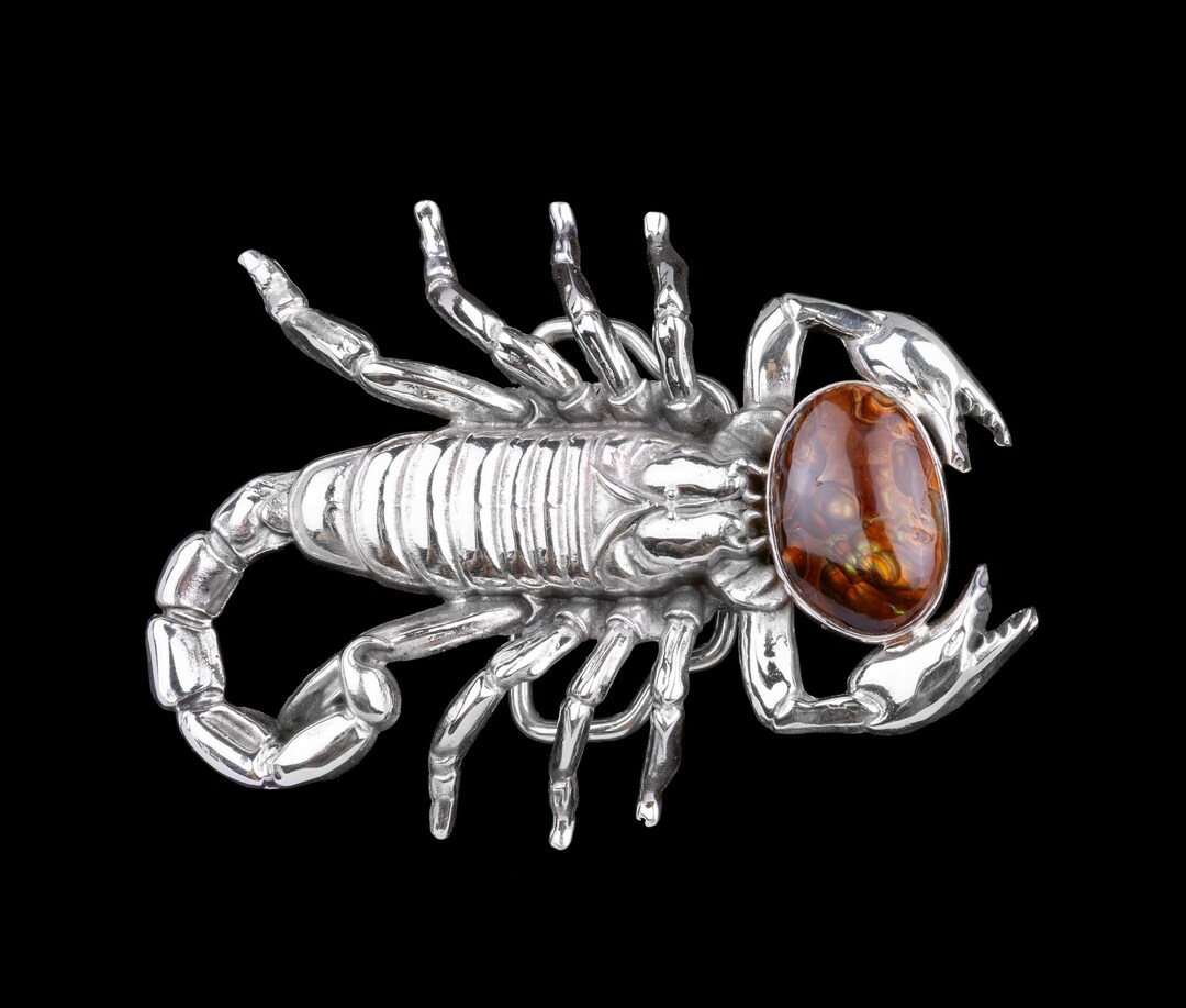 Scorpion Body - Etsy