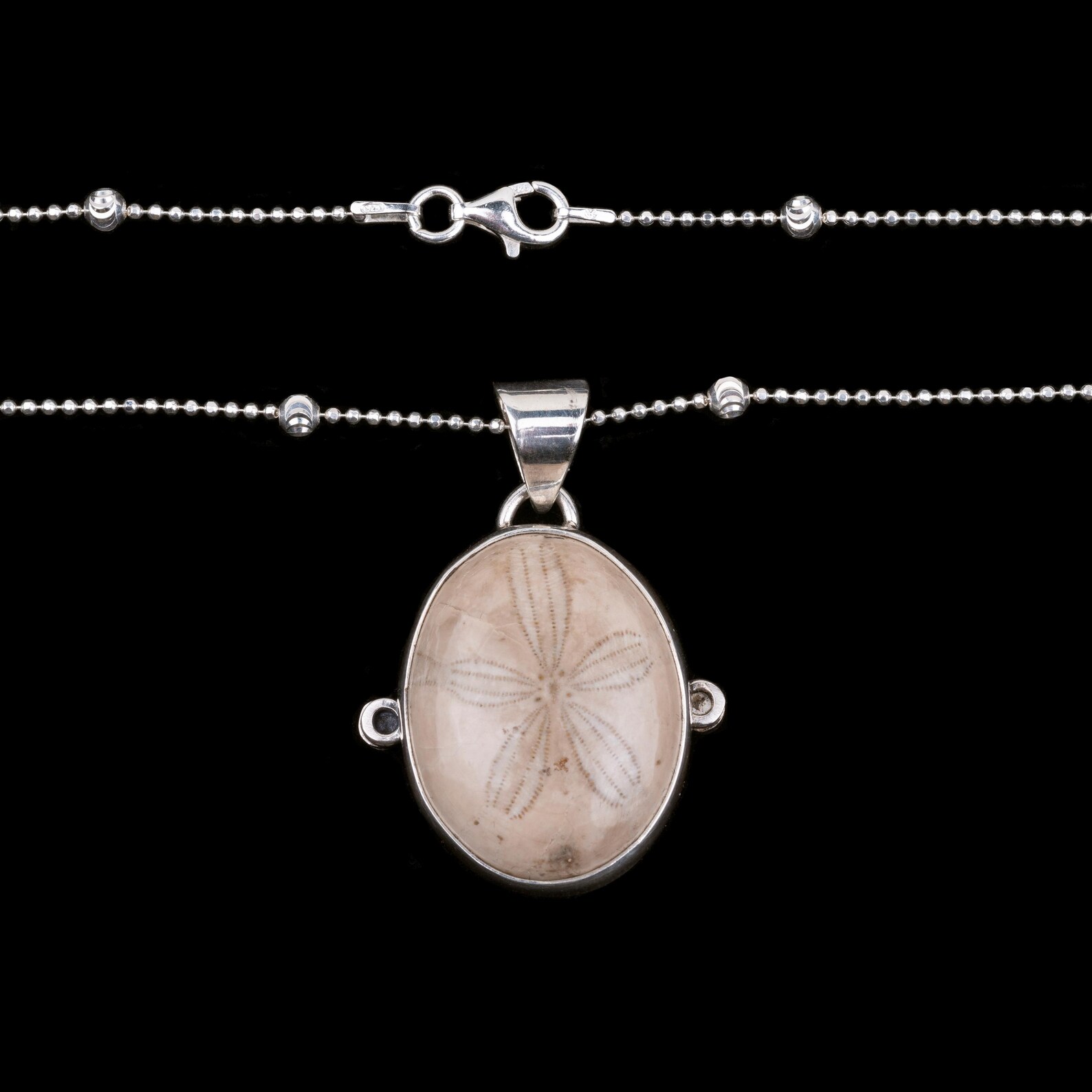 Fossilized Coral Tree of Life - Etsy