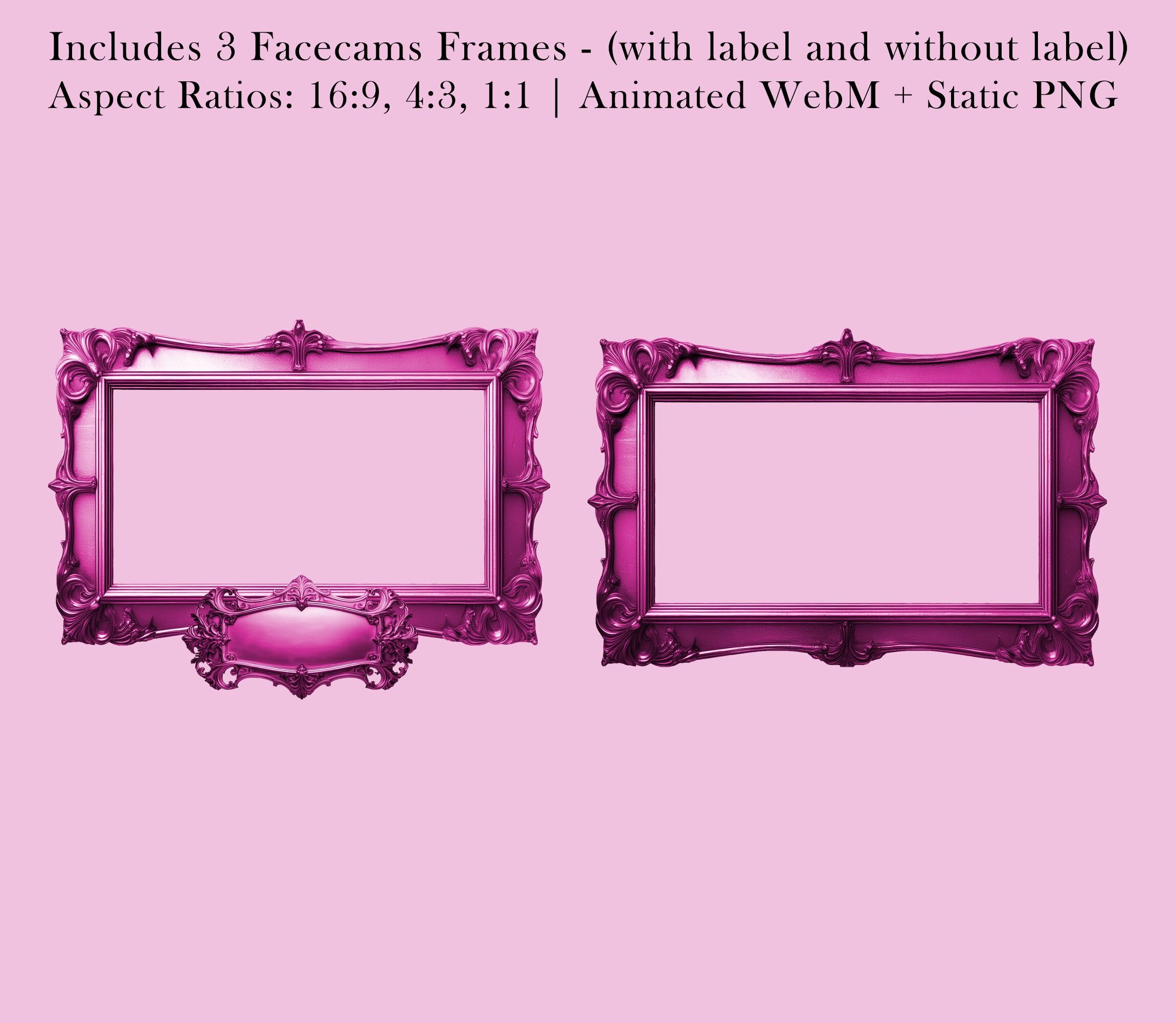 Pink Victorian Webcam Overlay Pack: Animated Gothic Frames (digital ...