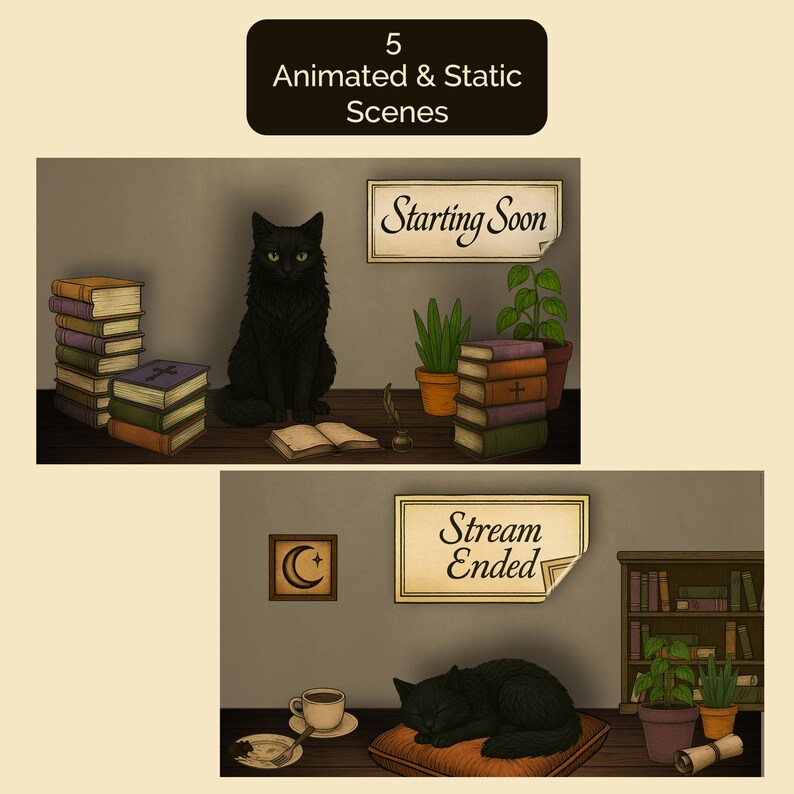 Black Cat Library Stream Pack: Cozy Animated Overlays - Etsy