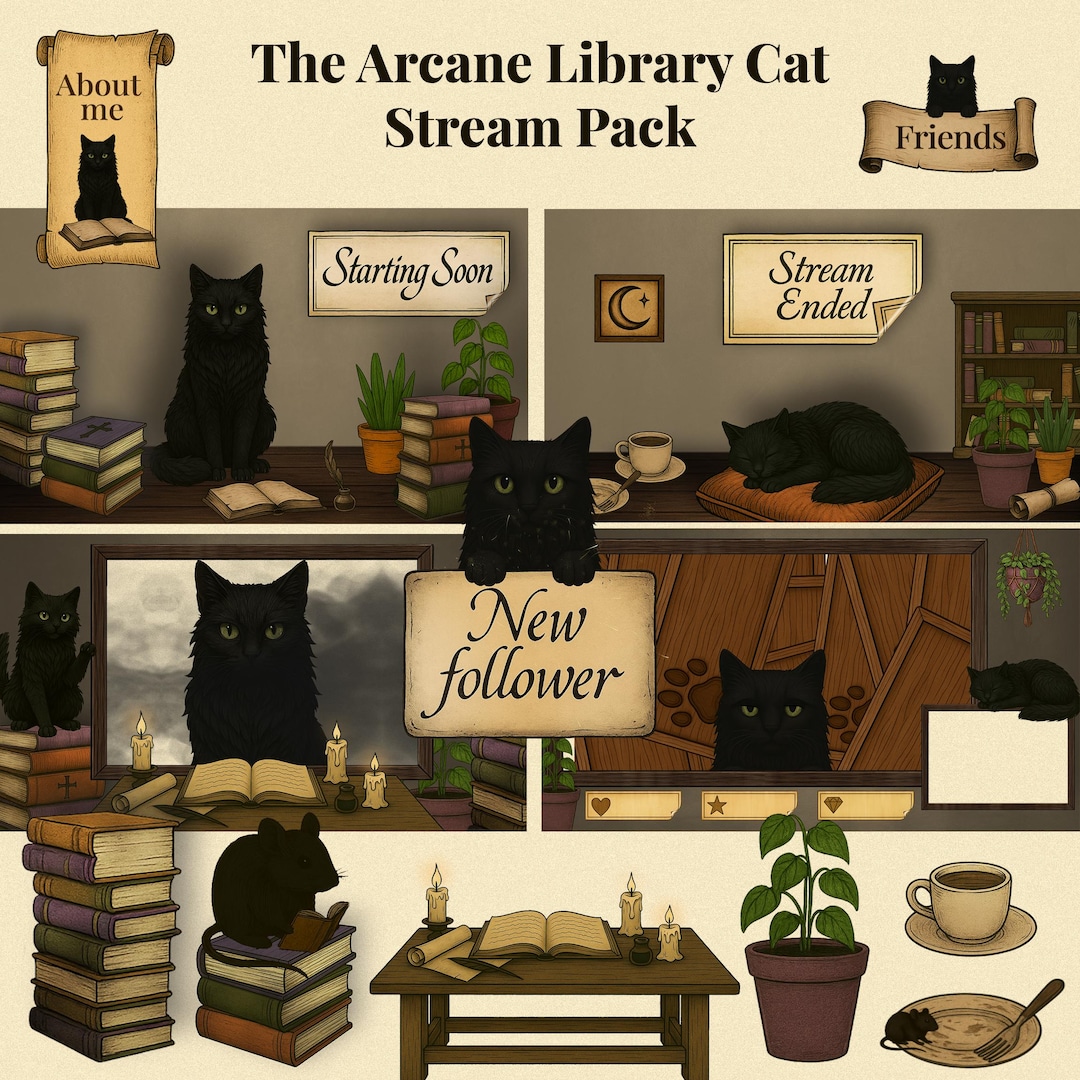 Black Cat Library Stream Pack: Cozy Animated Overlays - Etsy