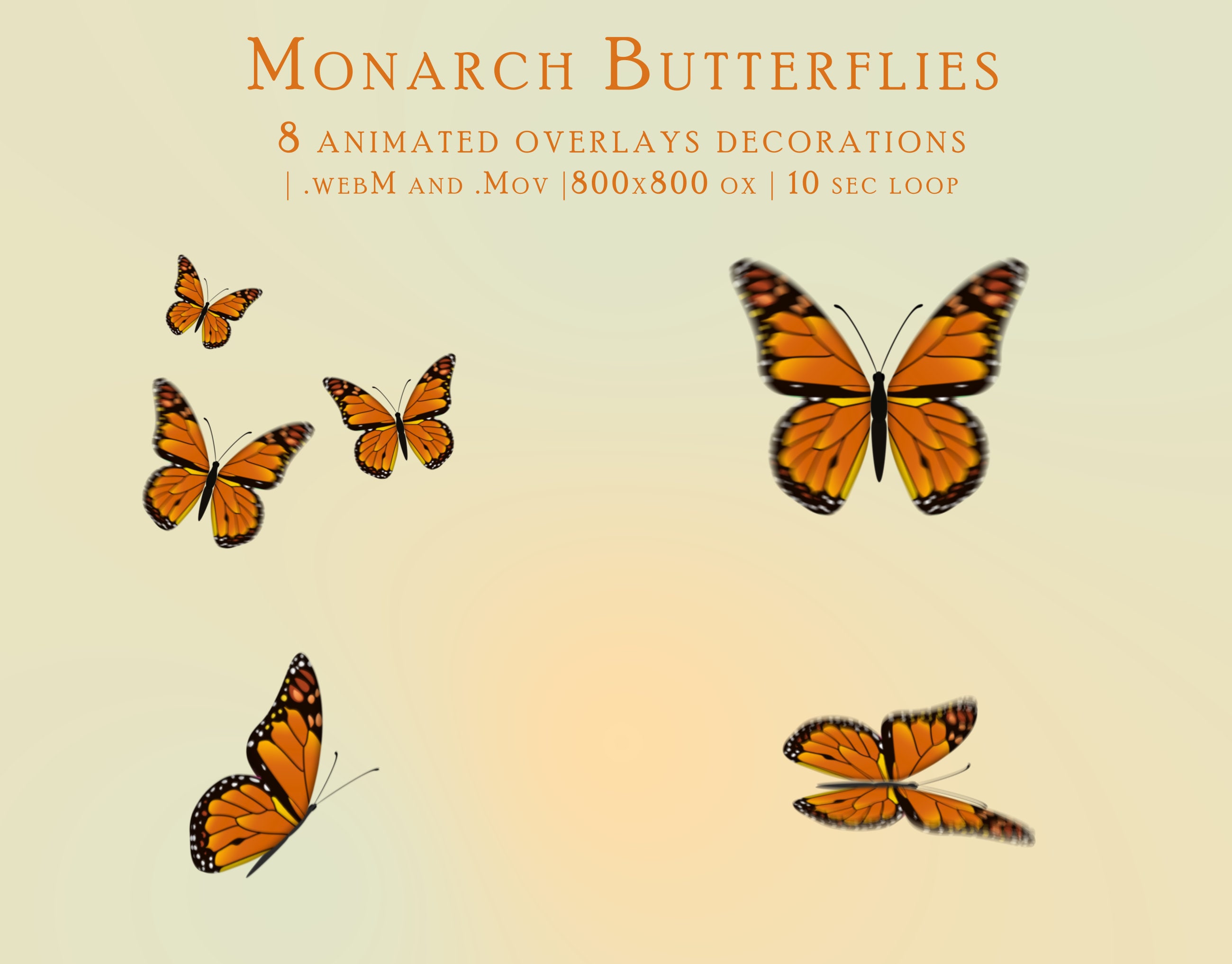 Animated Monarch Butterflies: Stream Decoration (webm & MOV) - Etsy