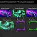 Grunge Punk Animated Stream Pack: Green & Purple Twitch Overlays (after ...