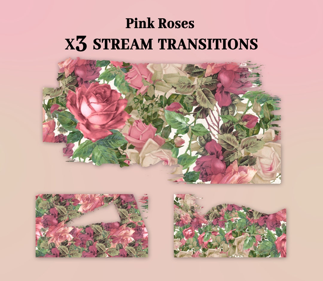Pink Roses Transition, OBS Stinger, Animated Stream Transition, Twitch ...