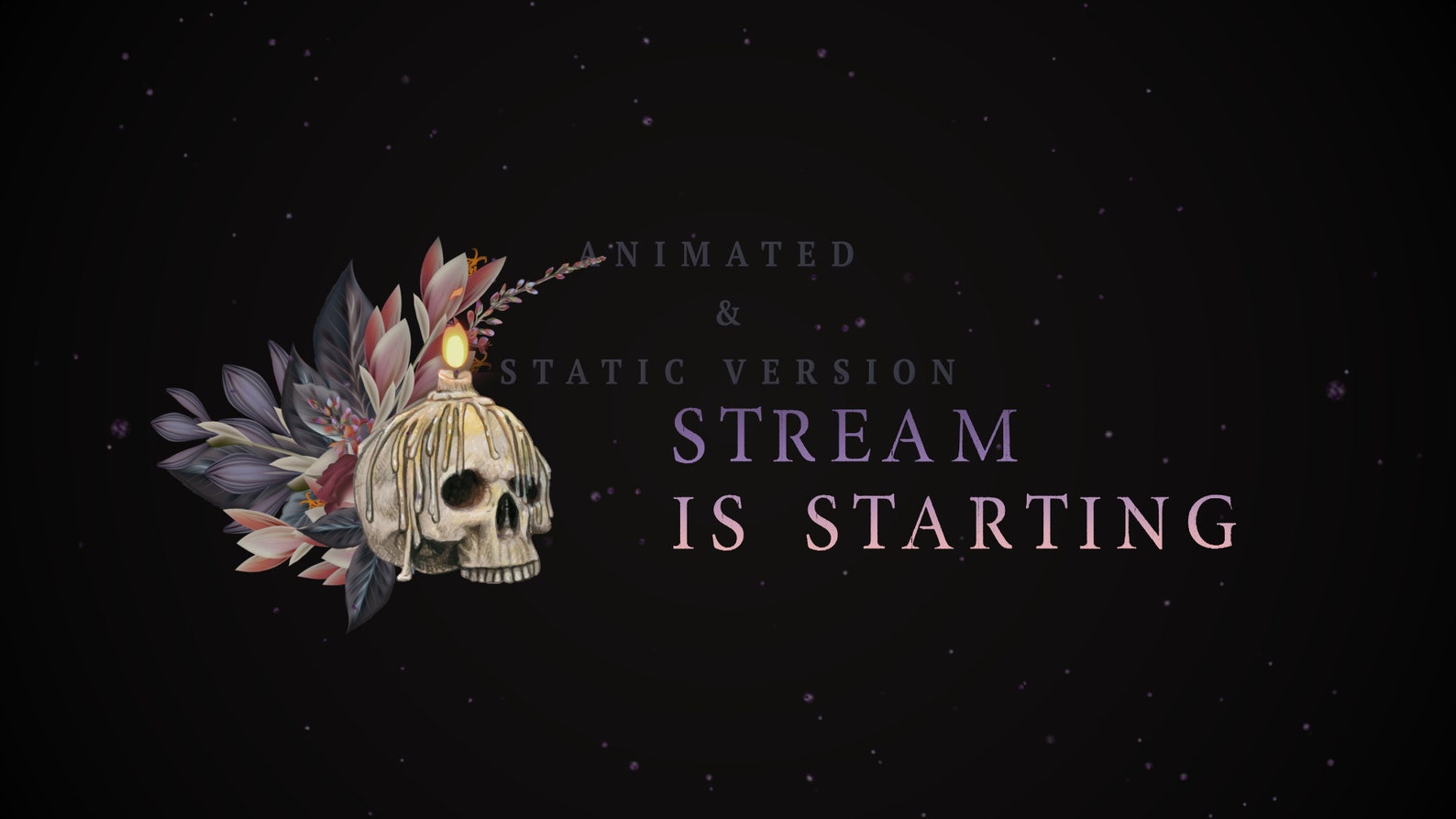 Gothic Animated Stream Screens Package, Twitch Pack, Overlays Screens ...