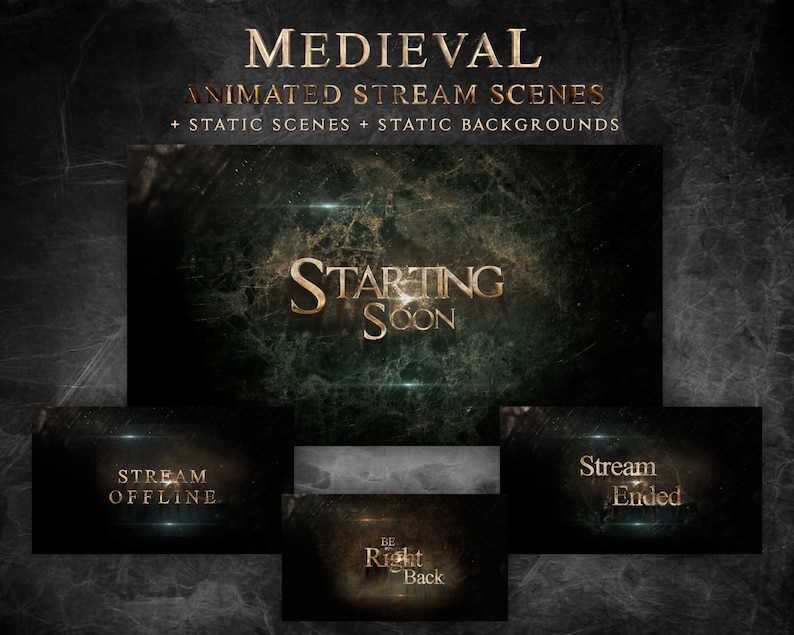 Animated Medieval Stream Scenes: Twitch Overlay Package - Etsy
