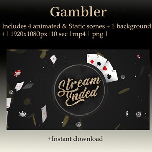 Twitch Animated Poker Overlay | Animated Stream Scenes Package, Twitch ...
