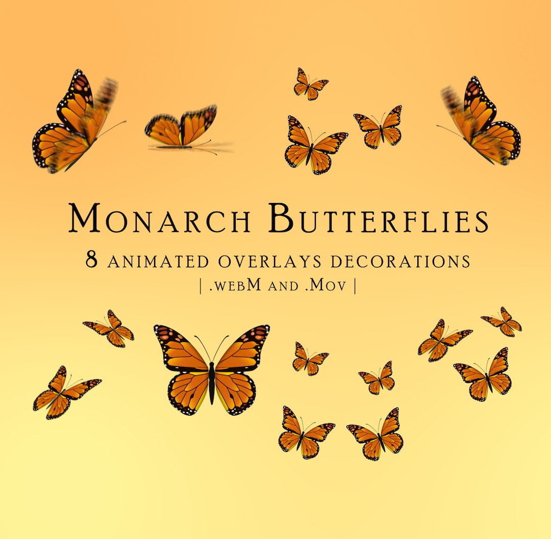 Animated Monarch Butterflies: Stream Decoration (webm & MOV) - Etsy