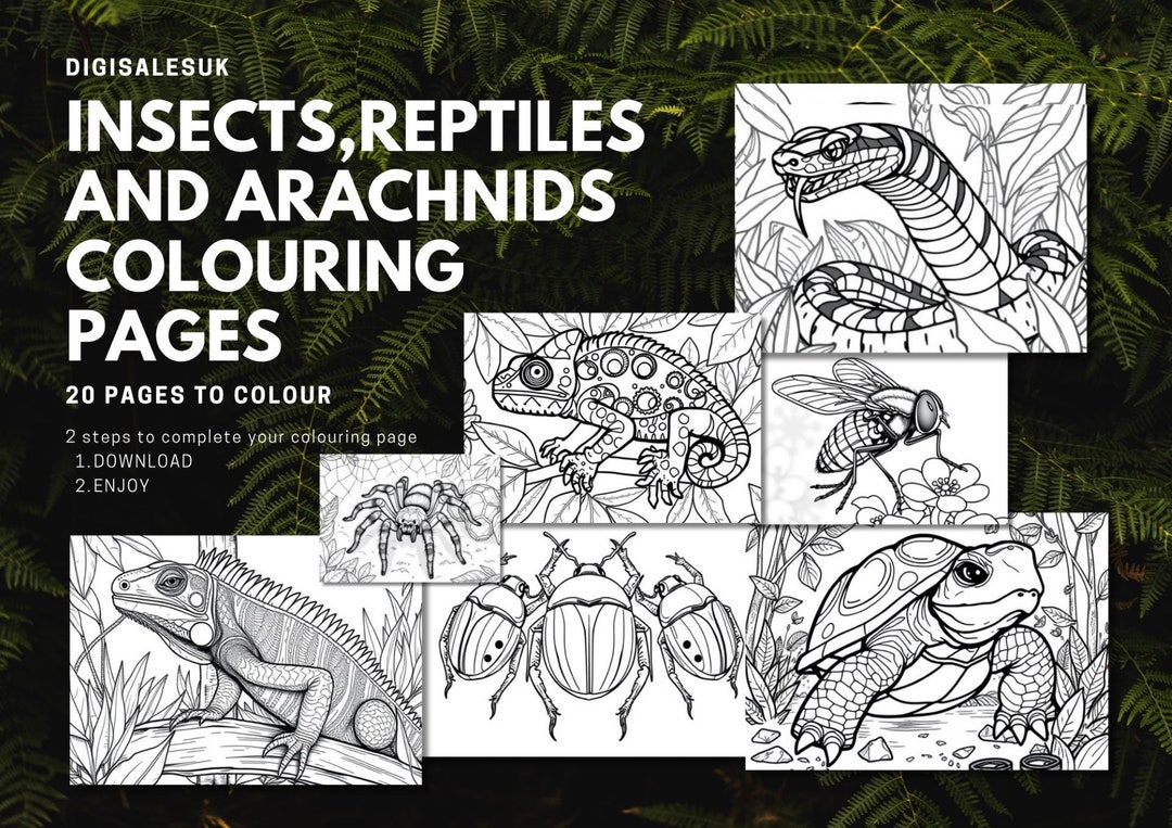 20 Insects, Reptiles & Arachnids Colouring Pages - Adults and Kids ...