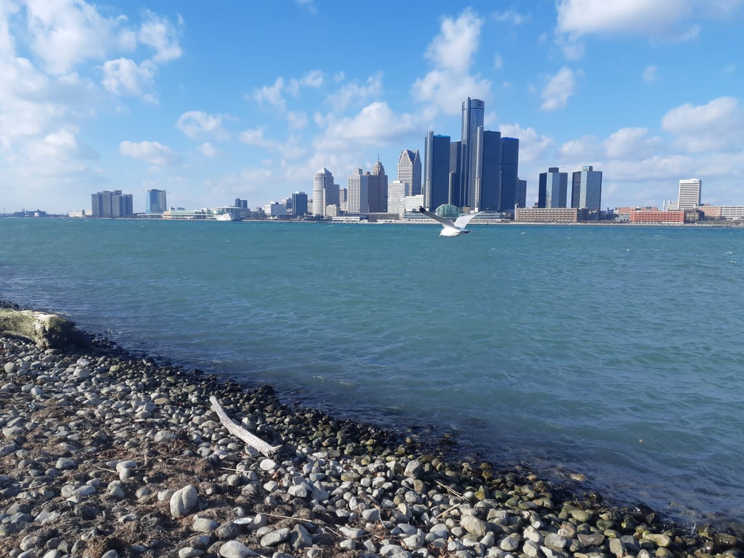 Amazing Views of Detroit Skyline - Etsy