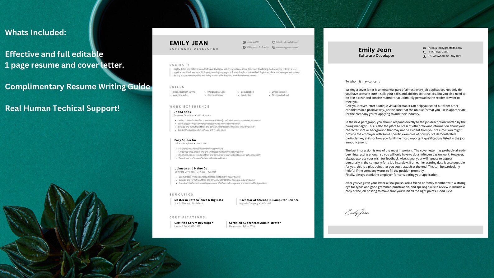 Professional Clean Resume Template for Software Developers and IT ...