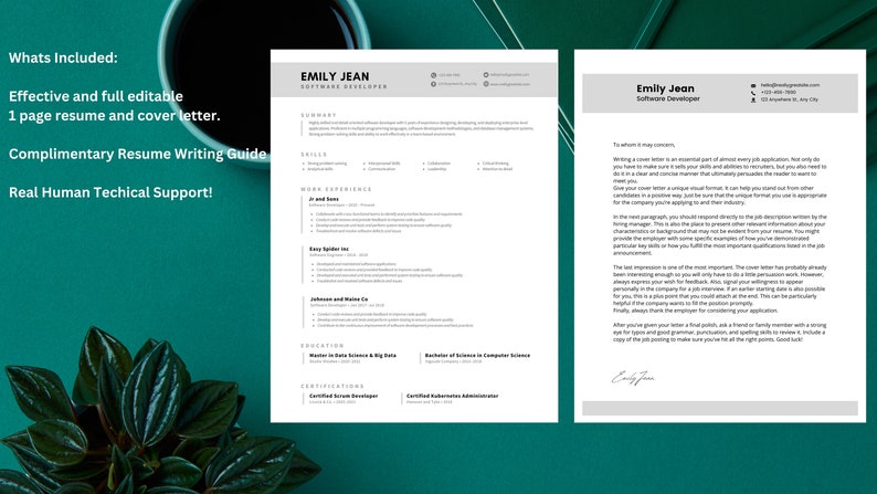 Professional Clean Resume Template for Software Developers and IT ...