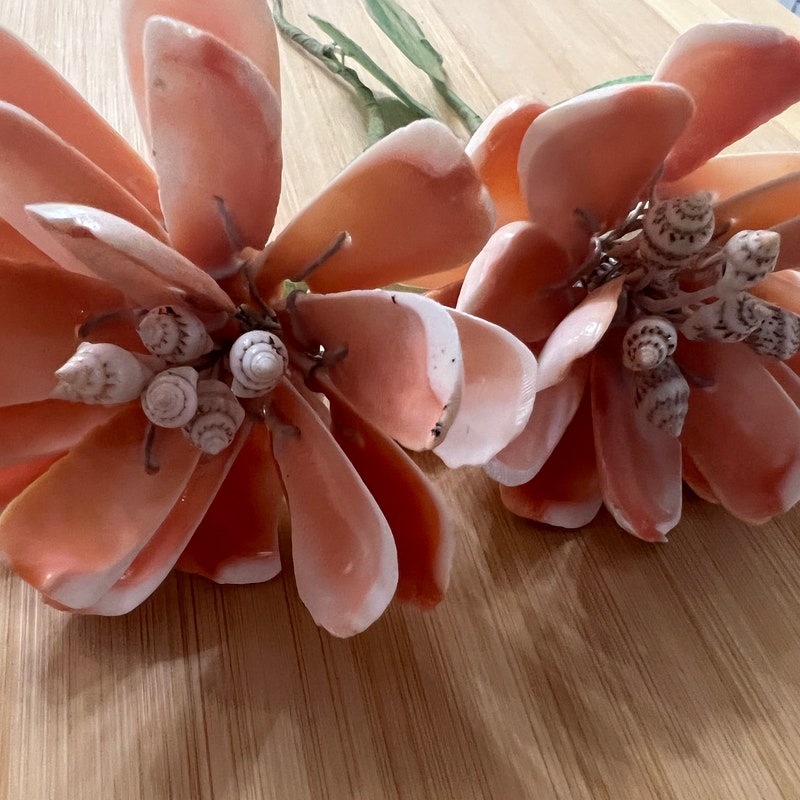 Shell Flowers - Etsy