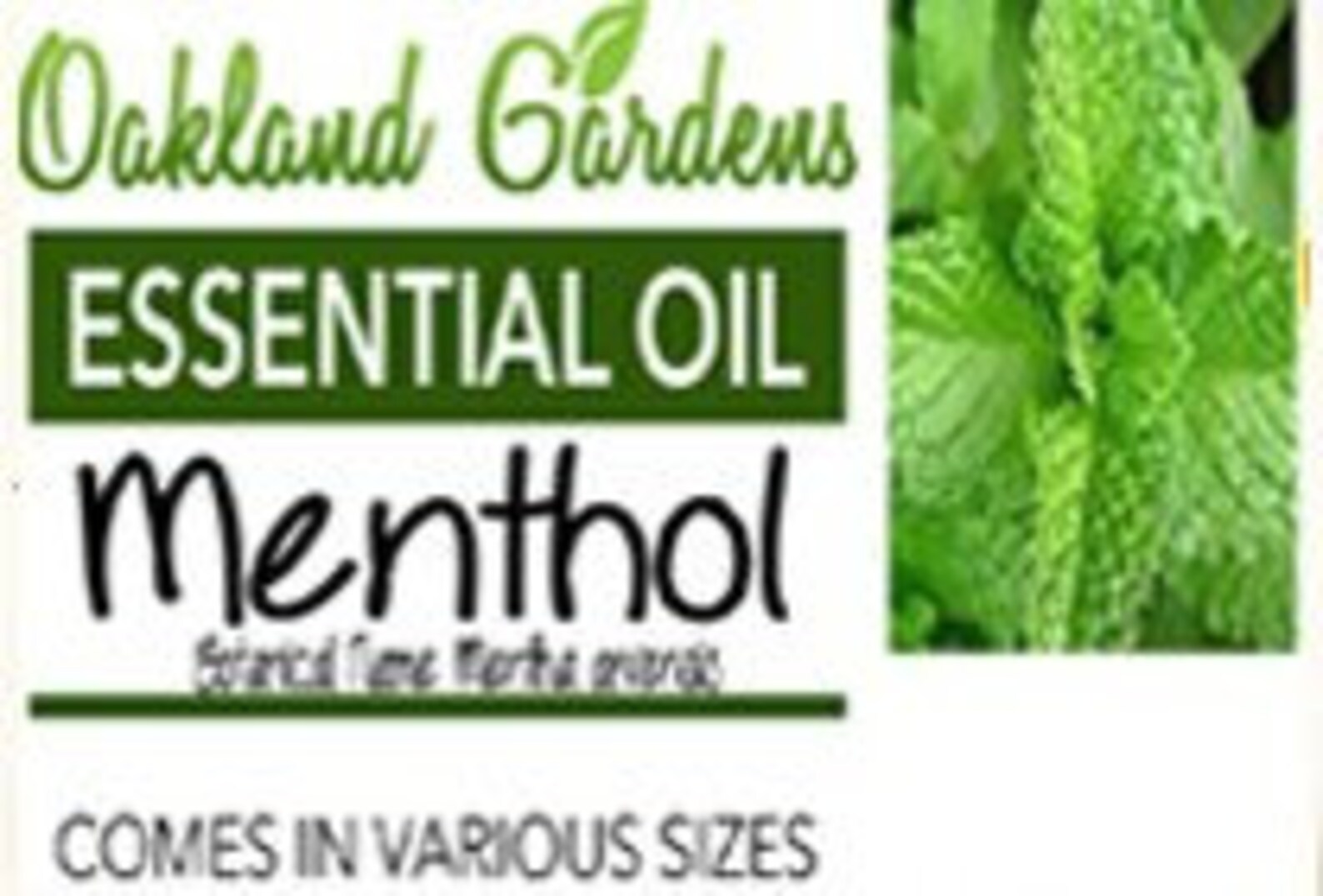 Liquid Menthol Essential Oil Pure & Natural Oil for Diffusers ...