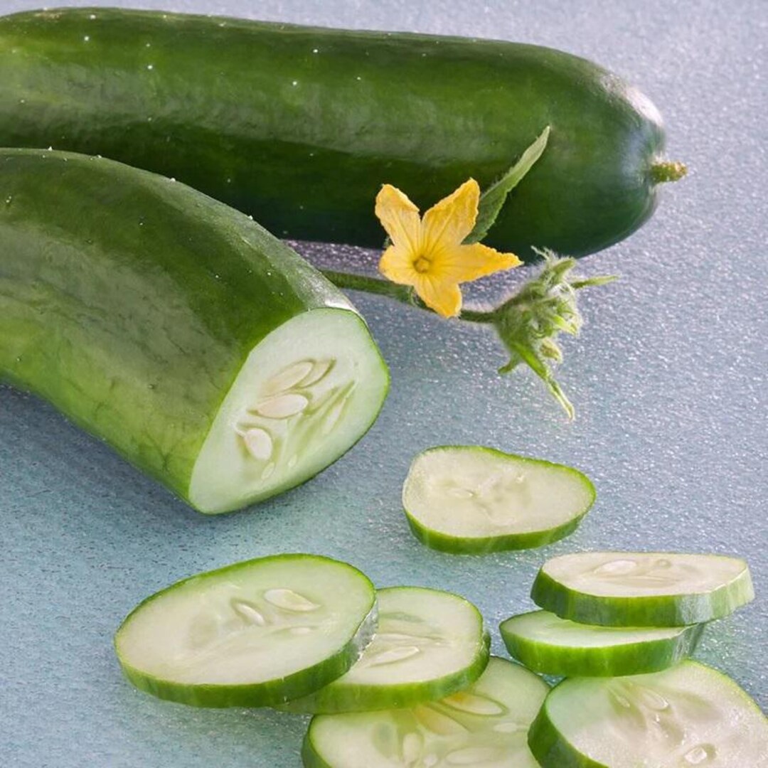 Best Slice Burpless Bush F1 Cucumber, Hybrid (melothria Scabra ...