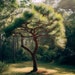 Pinus Palustris (longleaf Pine) Tree Seeds , Towering Evergreen ...