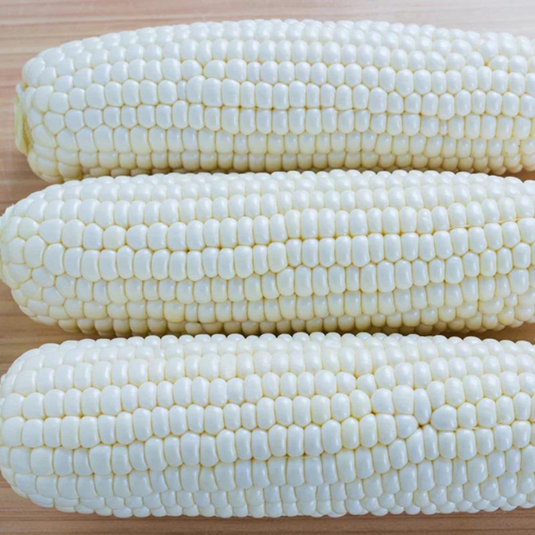 Argent Hybrid White Sweet Corn (SE) (zea Mays) Vegetable Seeds, Pearly ...