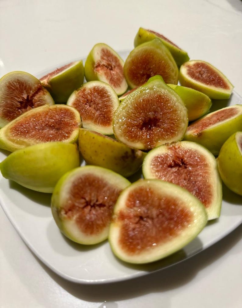 Brooklyn Italian White Fig - Cuttings, Honey-sweet, Jelly-like Figs ...