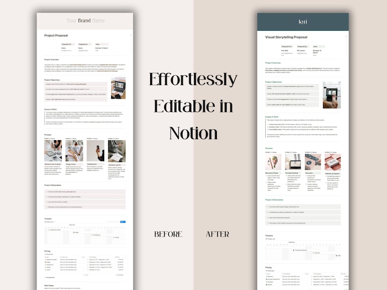 Notion Project Proposal Template, Professional Notion Template, Client ...