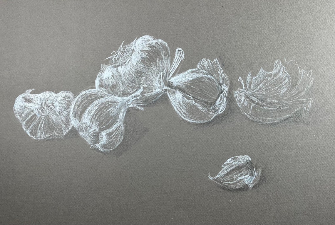 Original Pencil Drawing of Garlic - Etsy