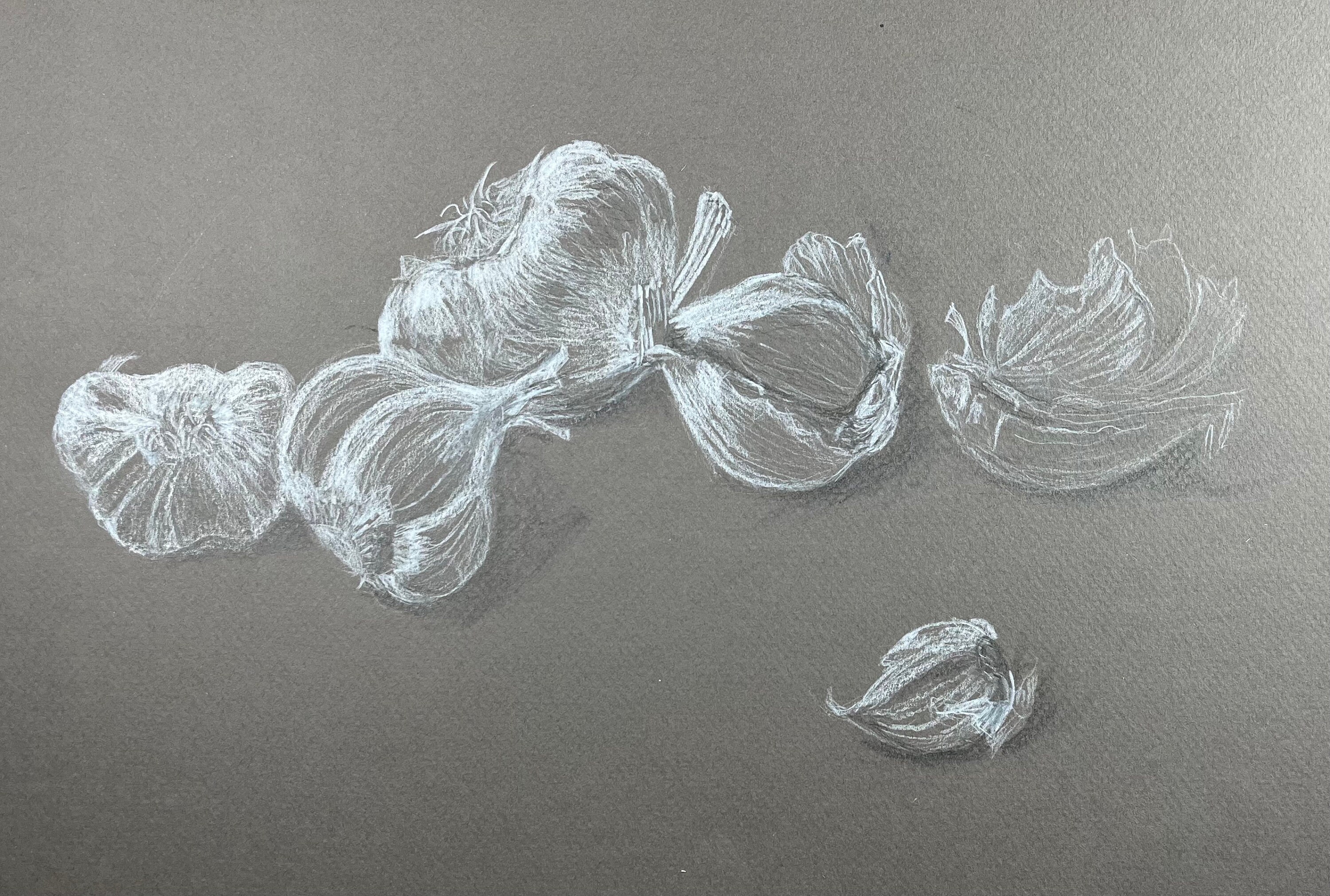 Original Pencil Drawing of Garlic - Etsy