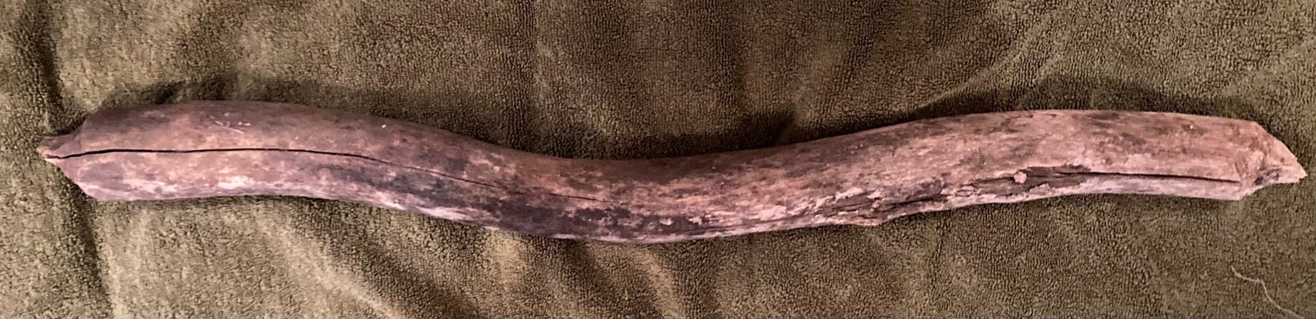 Beaver Chewed Driftwood in Various Sizes - Etsy