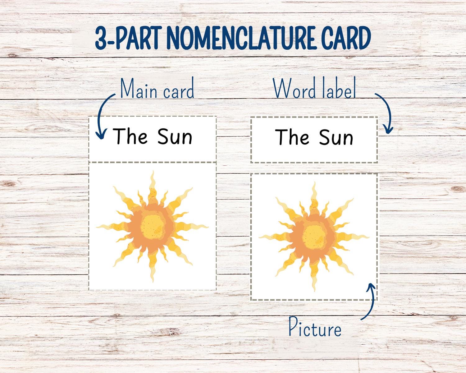 Solar System Activity Pack, Space Unit Study, Solar System Model and ...