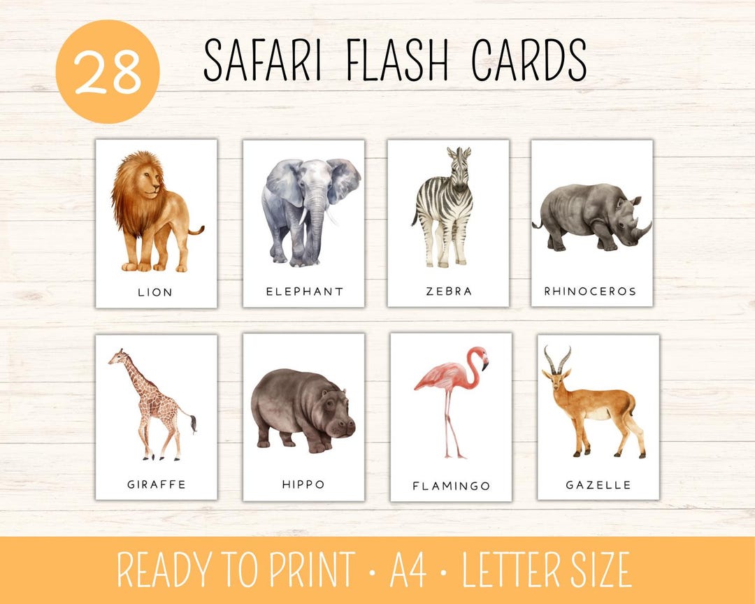 28 Safari Animals Flash Cards, Montessori Materials, Educational ...