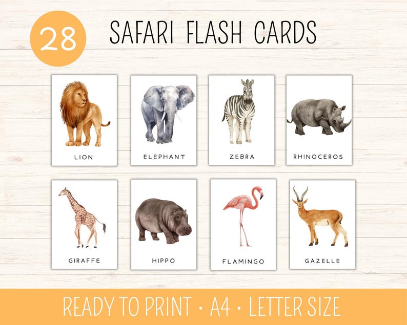 28 Safari Animals Flash Cards, Montessori Materials, Educational ...