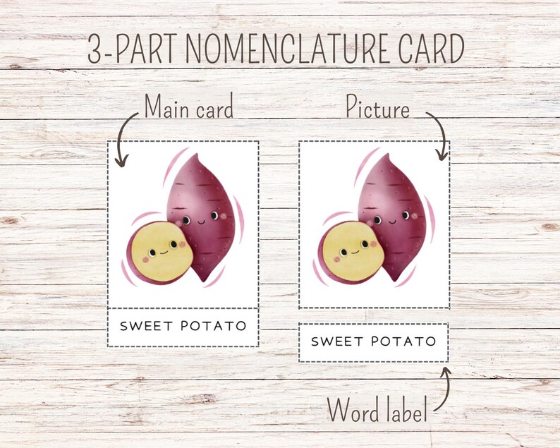 38 Vegetables Flashcards, Image Cards for Kids, Preschool, Nomenclature ...