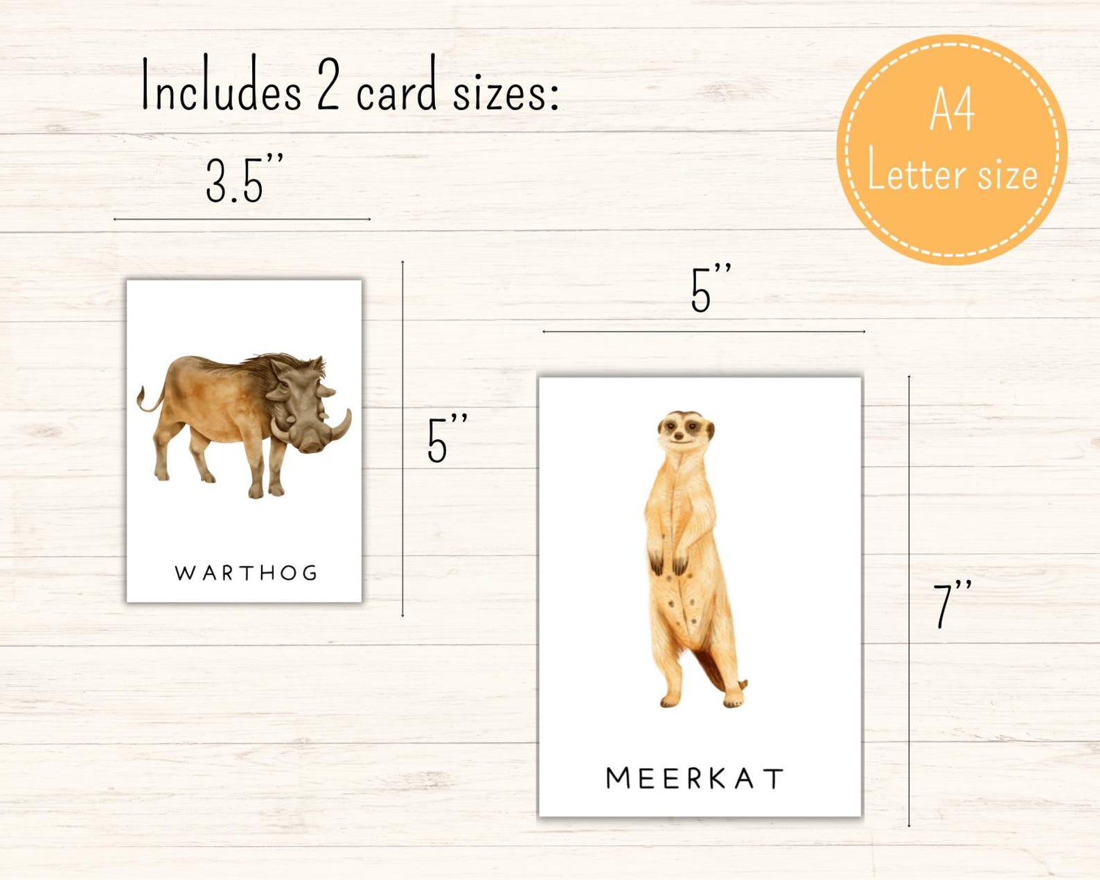28 Safari Animals Flash Cards, Montessori Materials, Educational ...