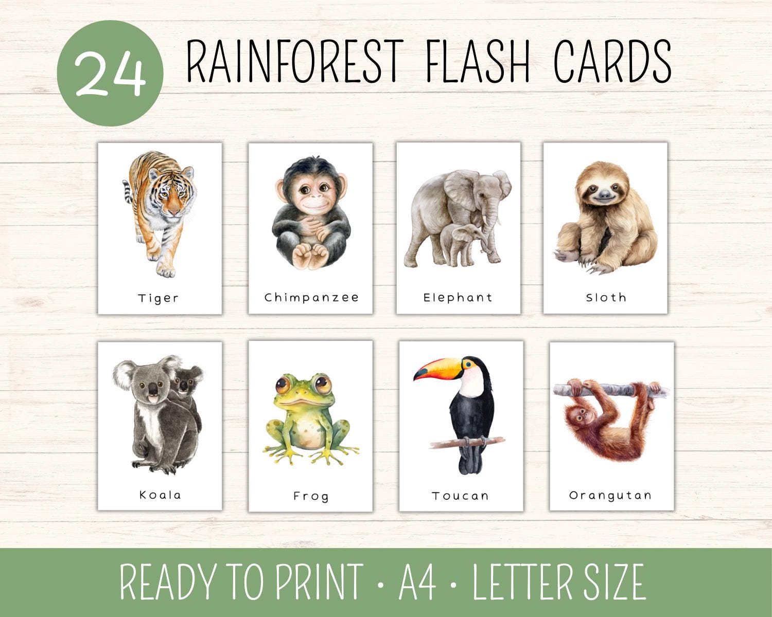 24 Rainforest Animals Flash Cards, Jungle Animals Flash Cards ...