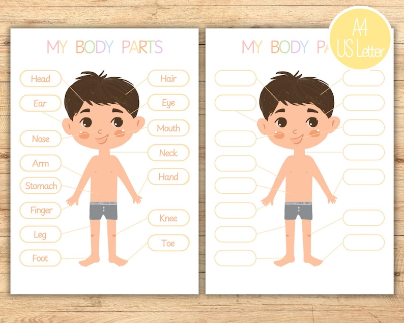 Body Parts Matching Activity Printable, Toddler Busy Book Pages ...