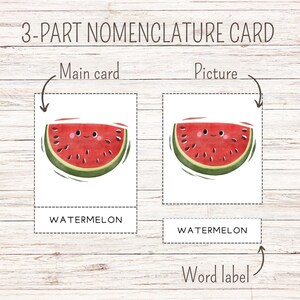27 Printable Fruits Flashcards, Montessori Flashcards, Three Part Cards ...