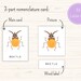 Insects Flash Cards, Montessori Flash Cards, Preschool Activity ...