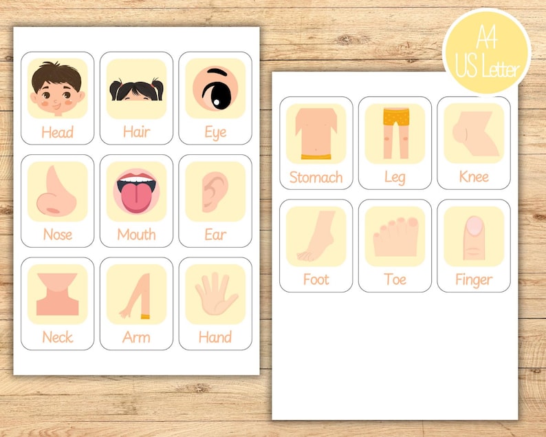 Body Parts Matching Activity Printable, Toddler Busy Book Pages ...