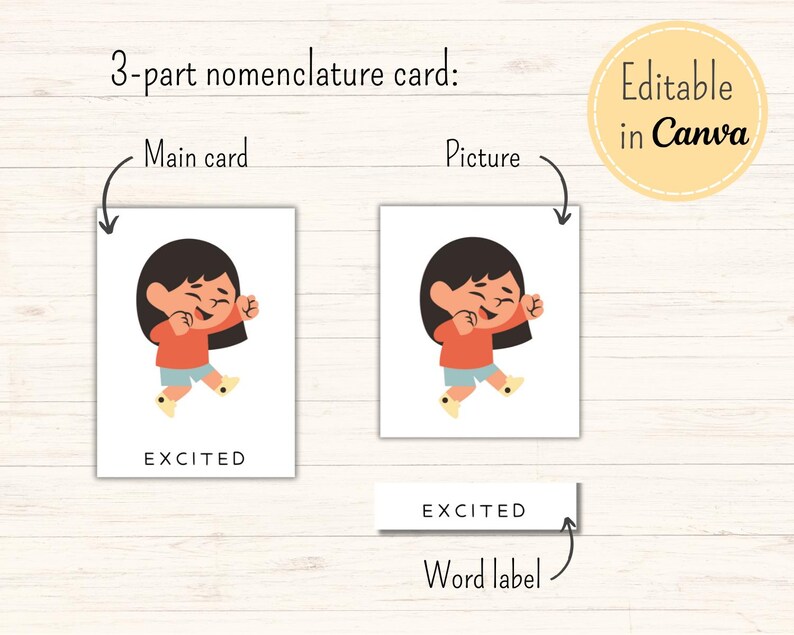 Emotions Flashcards, Emotions Feelings Chart, Emotion Feeling Card ...