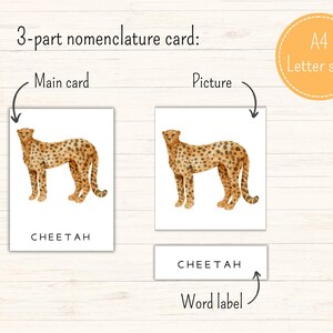 28 Safari Animals Flash Cards, Montessori Materials, Educational ...