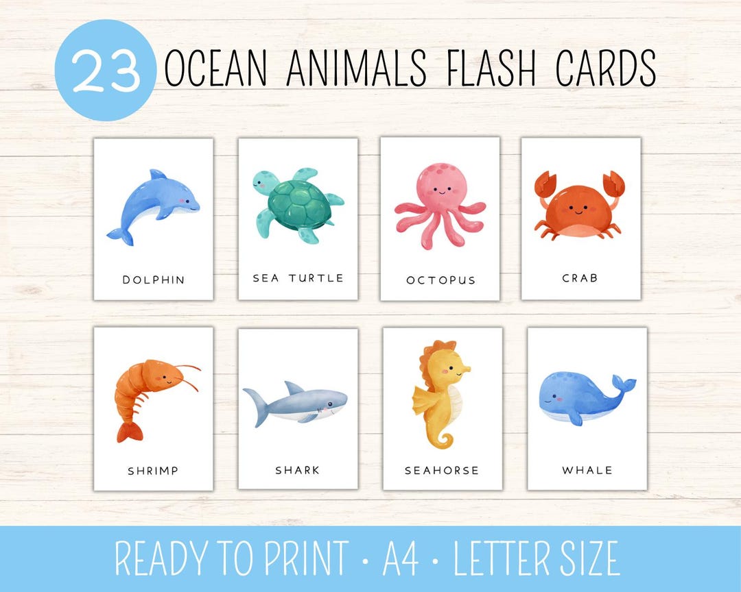 23 Ocean Animals Flash Cards, Educational Montessori Toddler Cards ...
