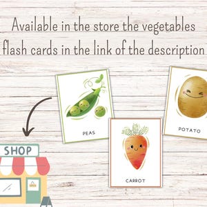 27 Printable Fruits Flashcards, Montessori Flashcards, Three Part Cards ...