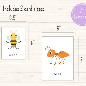 Insects Flash Cards, Montessori Flash Cards, Preschool Activity ...