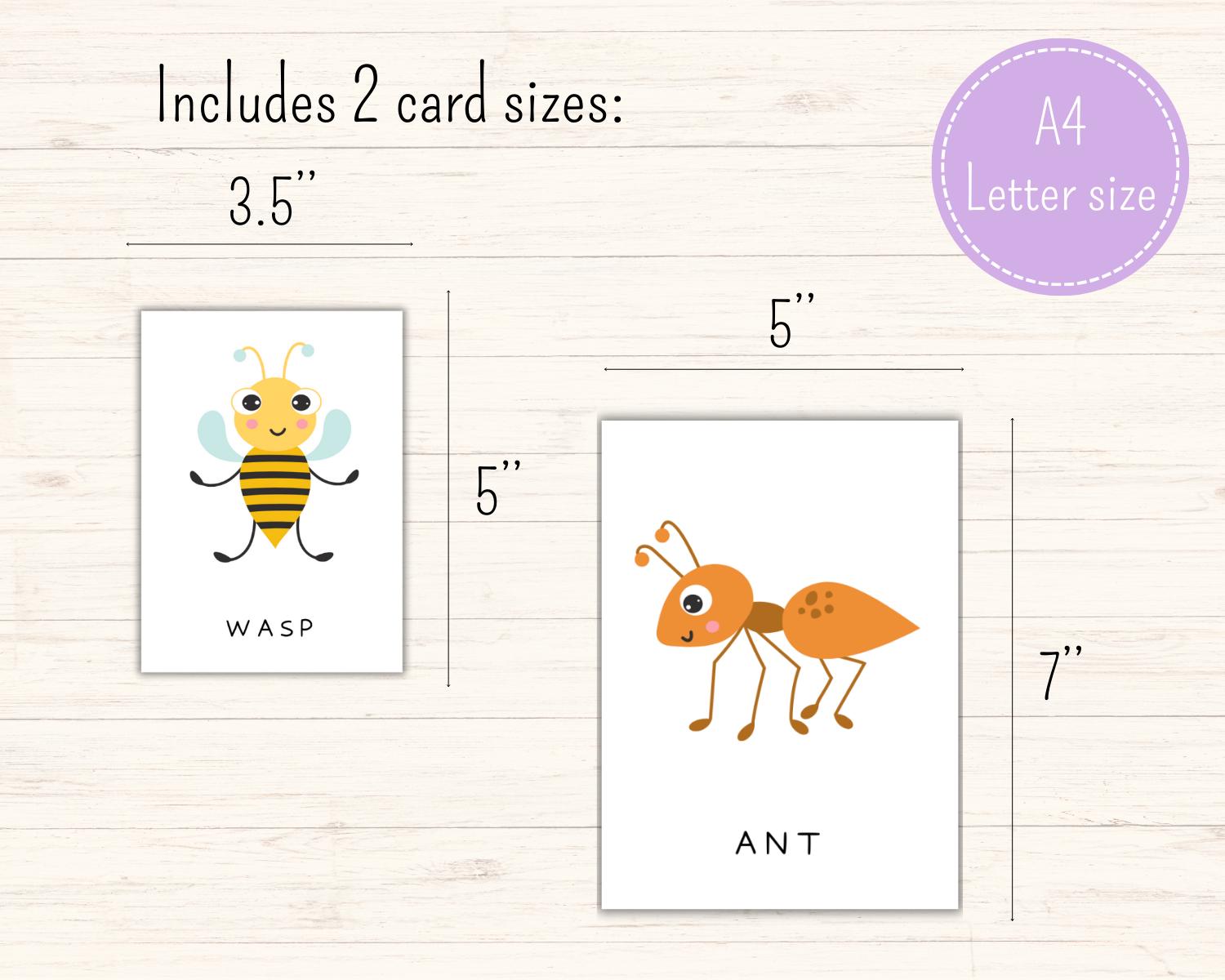 Insects Flash Cards, Montessori Flash Cards, Preschool Activity ...