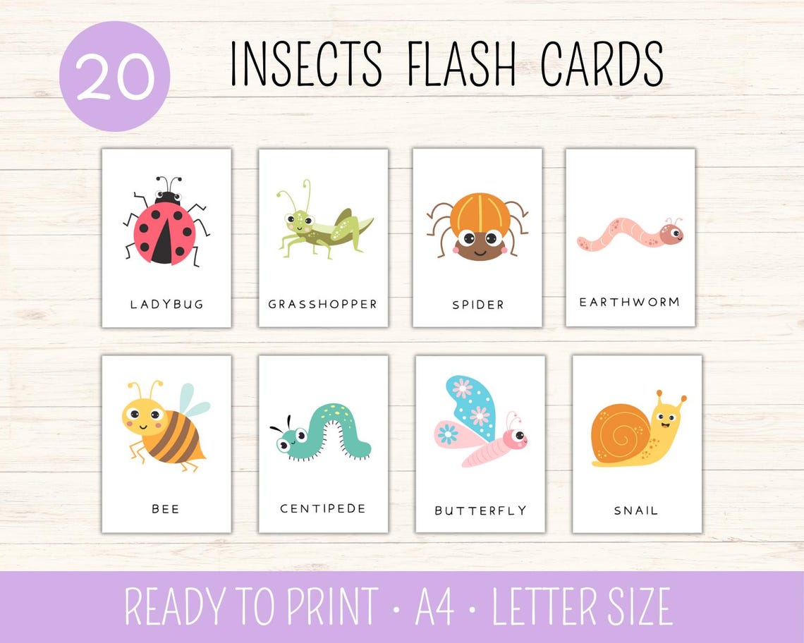 Insects Flash Cards, Montessori Flash Cards, Preschool Activity ...