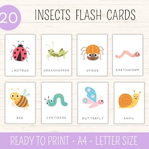Insects Flash Cards, Montessori Flash Cards, Preschool Activity ...